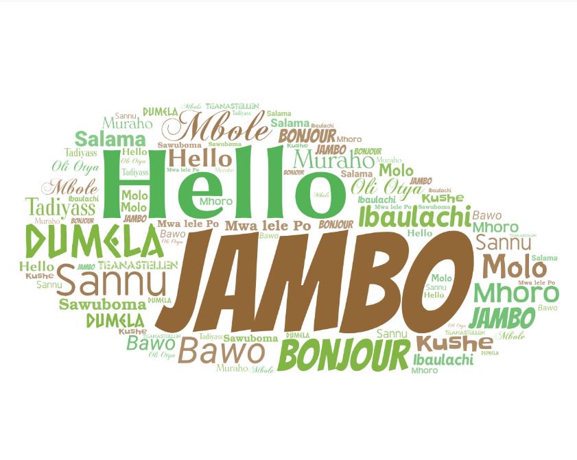 Top 10 most spoken languages in Africa - African Languages - citiMuzik
