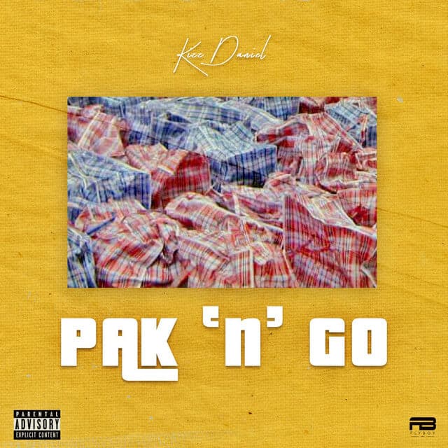 Kizz Daniel - Pak n Go MP3 DOWNLOAD - citiMuzik