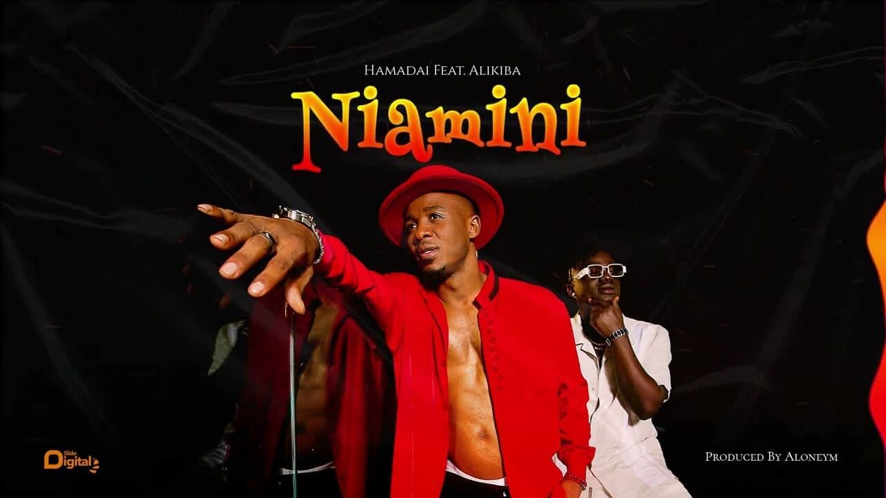 Hamadai Ft. Alikiba – Niamini LYRICS - citiMuzik