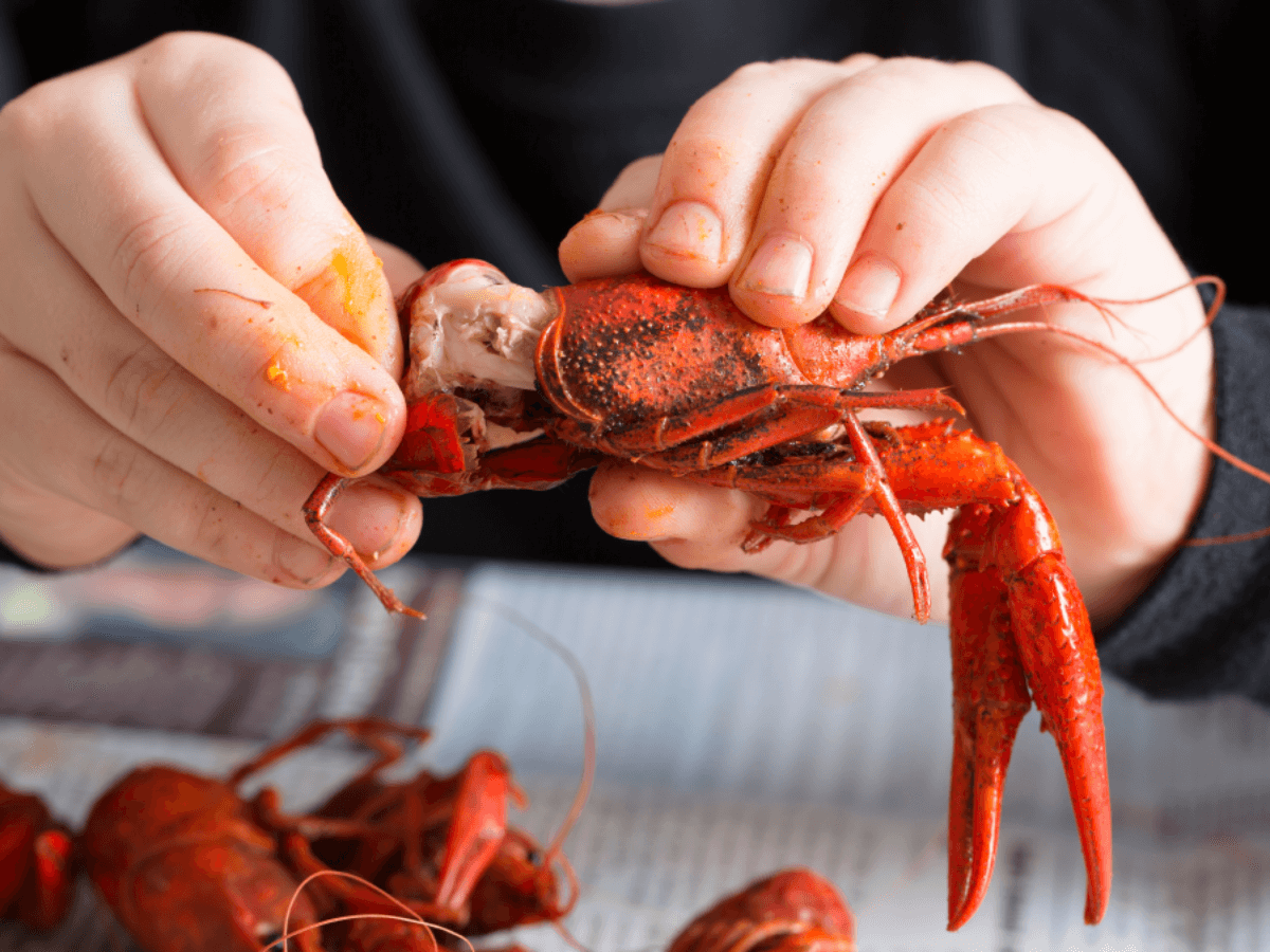 How to eat Crawfish (+VIDEO) - Step by Step — citiMuzik