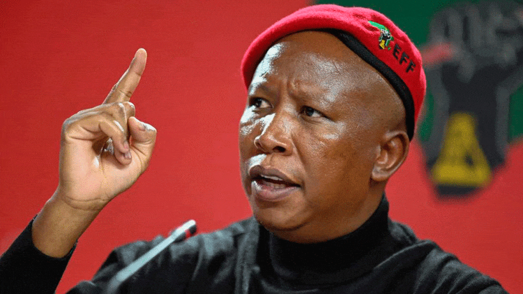 People Of Pretoria Don't Respect A Black Life, Malema At Dj Sumbody's ...