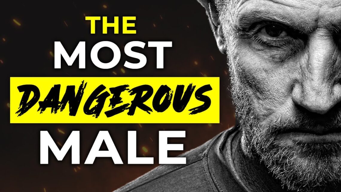 12 Reasons Why Sigma Males Are The Most Dangerous Breed | citimuzik.com ...