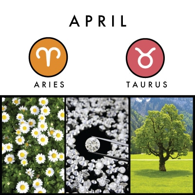 Birth Symbols by Month and Meaning — citiMuzik