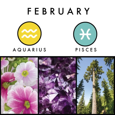 Birth Symbols by Month and Meaning - citiMuzik