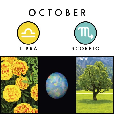 Birth Symbols by Month and Meaning — citiMuzik