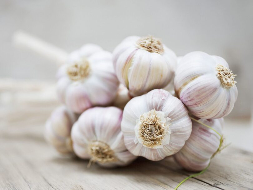 All To Know About Garlic - citiMuzik