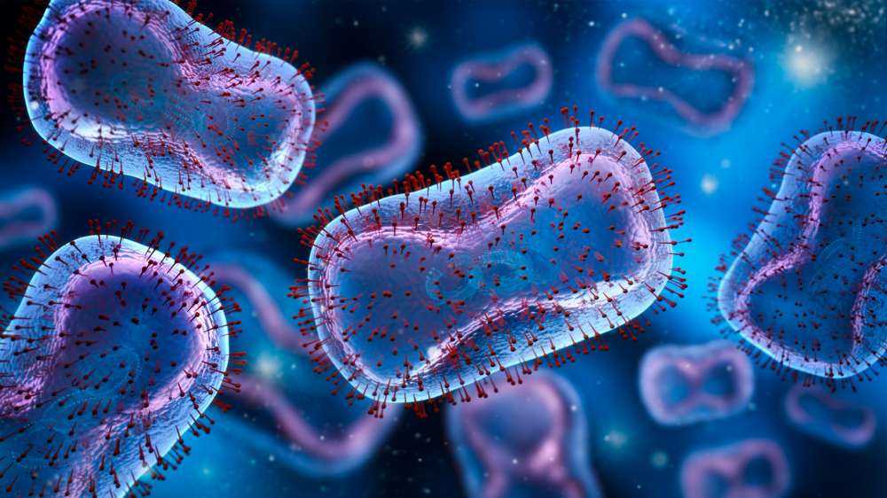 What does Monkeypox look like? Signs and Symptoms