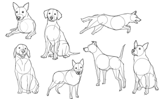 How to draw a Dog?— citiMuzik