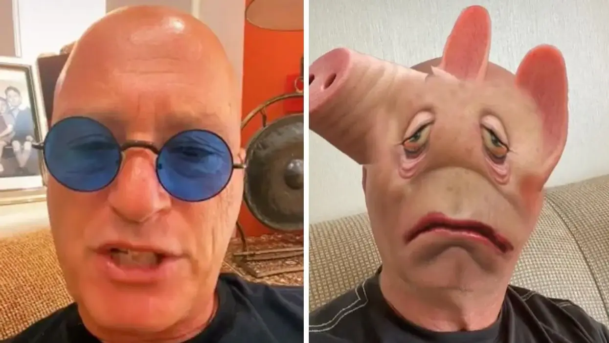 Howie Mandel Post On TikTok Shocked The Internet — citiMuzik