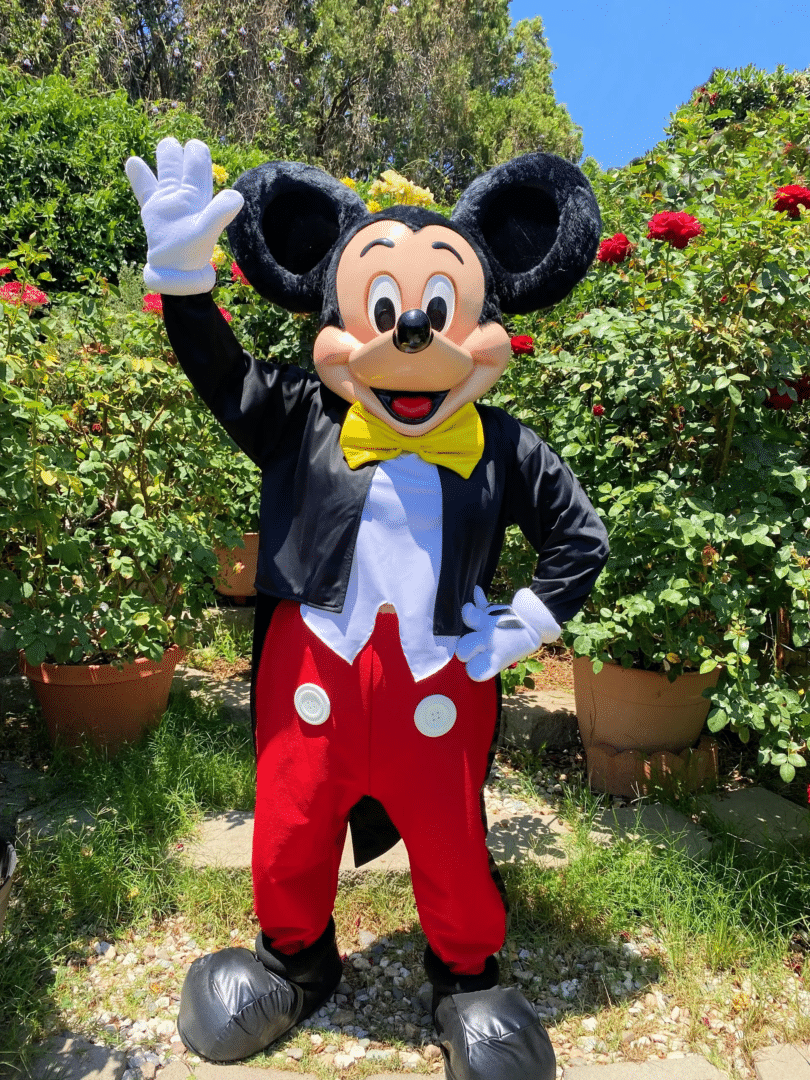 What killed Mickey Mouse? TikTok trend Explained — citiMuzik