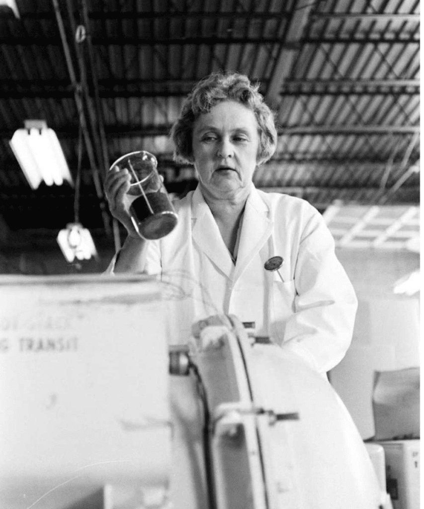 Who was Mária Telkes? Everything About Hungarian-American biophysicist ...