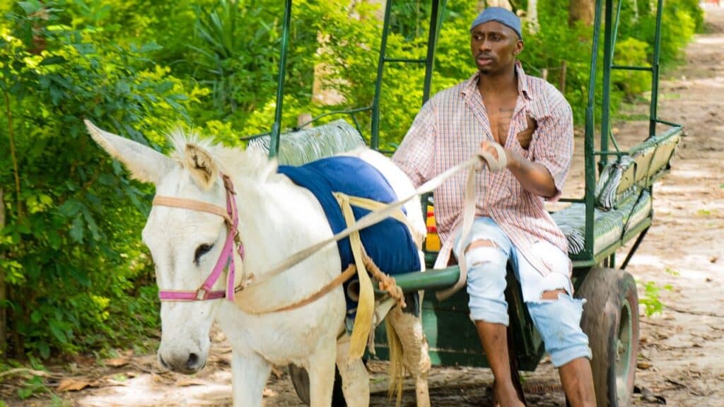 VIDEO Walter Chilambo Ft Jux - Success MP4 DOWNLOAD - citiMuzik