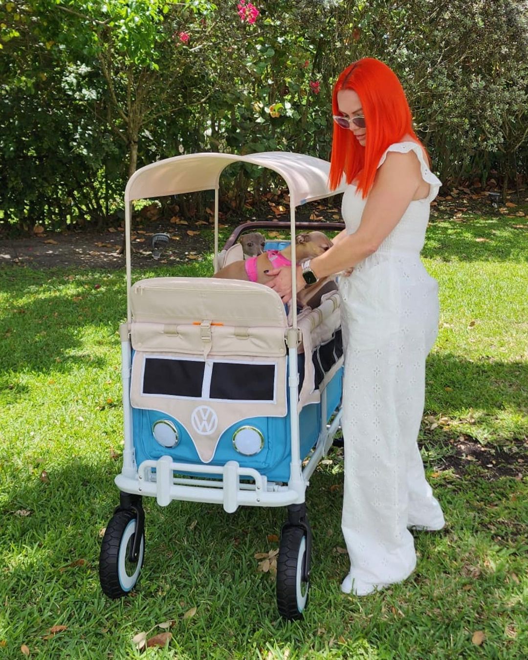 Who is Mireddys González? Everything About Daddy Yankee's Wife — citiMuzik