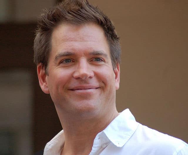Michael Weatherly Net Worth; Cashing in on Prime Time TV - citiMuzik