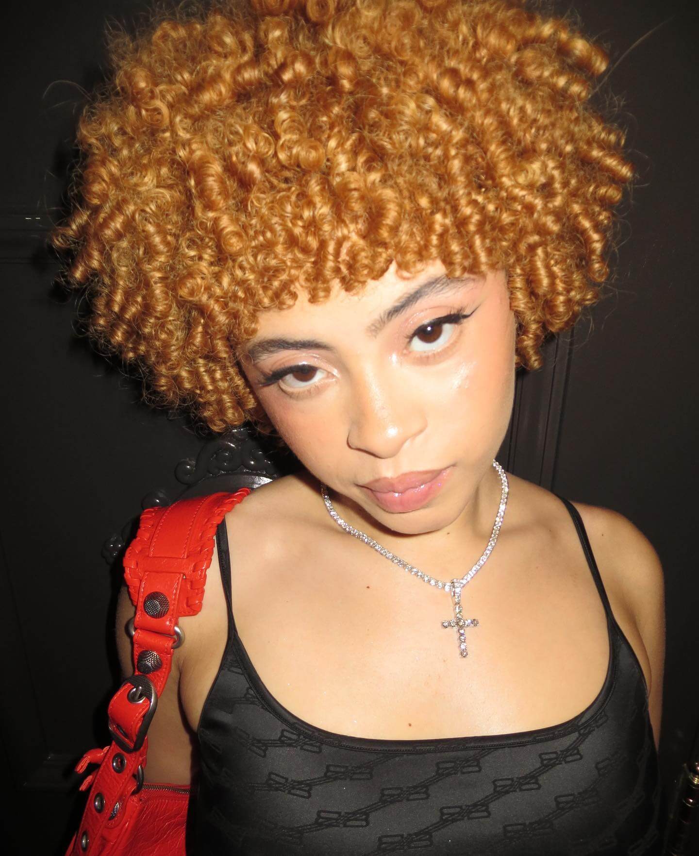 Ice Spice Parents: Exploring the Roots of a Rap Sensation — citiMuzik