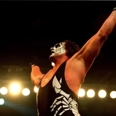 Sting Wrestler Net Worth: The Ring's Financial Scorpion - citiMuzik