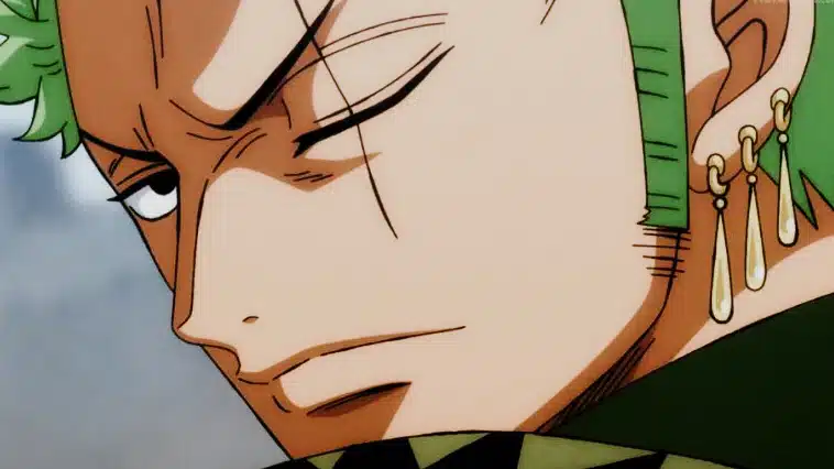How Did Zoro Lose His Eye? Unraveling the Mystery in 'One Piece ...