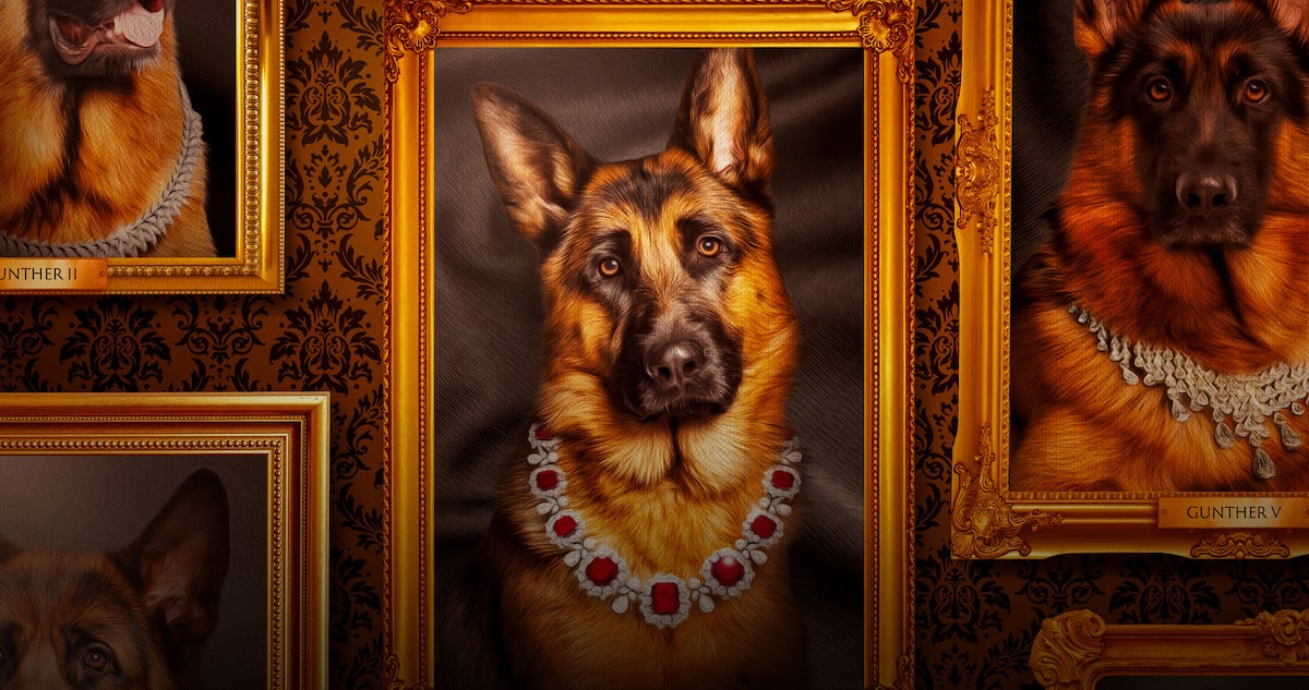 Gunther Dog Net Worth: Canine Cash Kings - citiMuzik