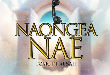 TOXIC MP3 DOWNLOAD Songs, Albums & Music Videos (2025) - citiMuzik